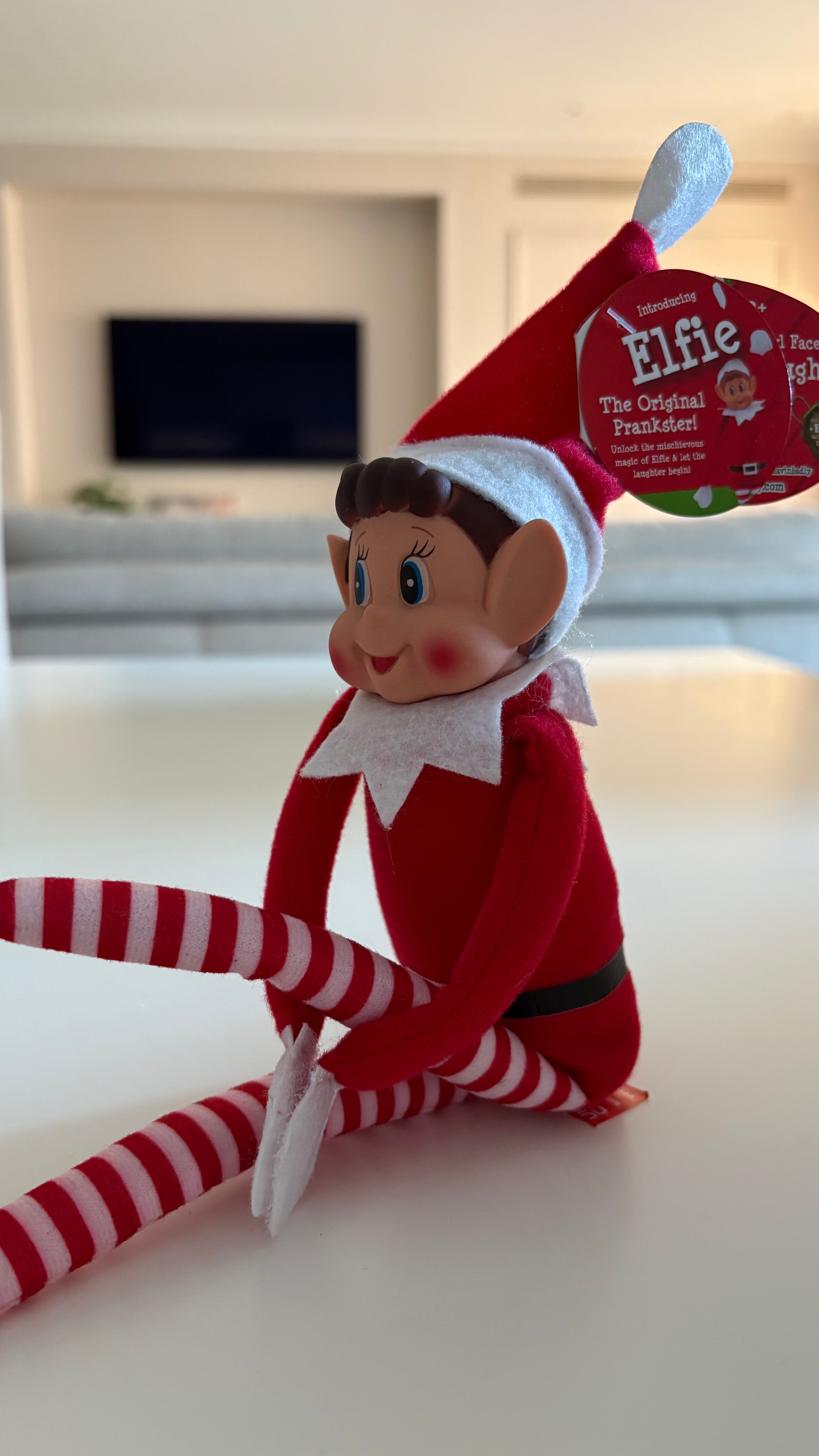 Elfo | Natal – A Professora Explica!